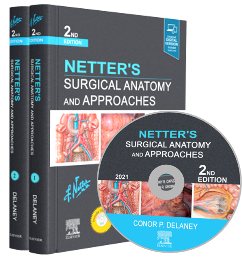 Netter's Surgical Anatomy and Approaches (Netter Clinical Science ...