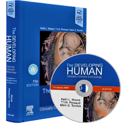 The Developing Human Clinically Oriented Embryology - انتشارات سالکان