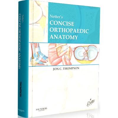 Netters Concise Orthopaedic Anatomy - انتشارات سالکان
