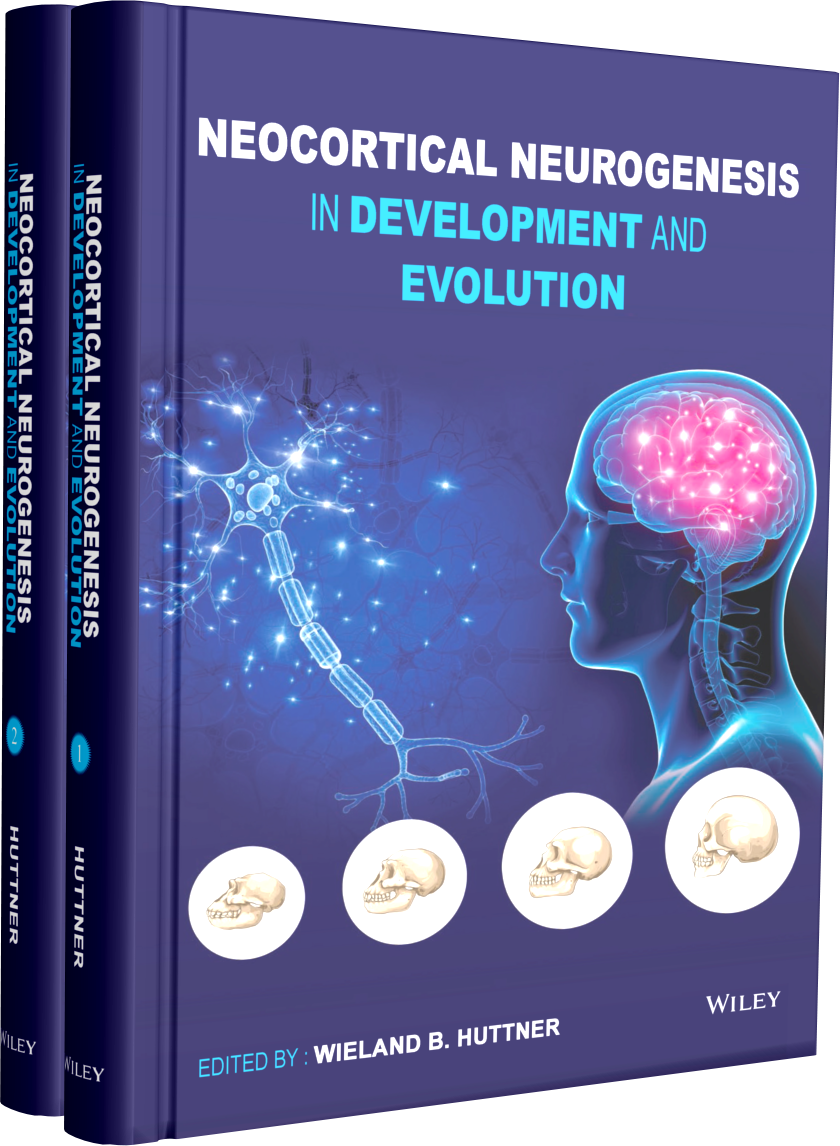 Neocortical Neurogenesis in Development and Evolution - انتشارات سالکان